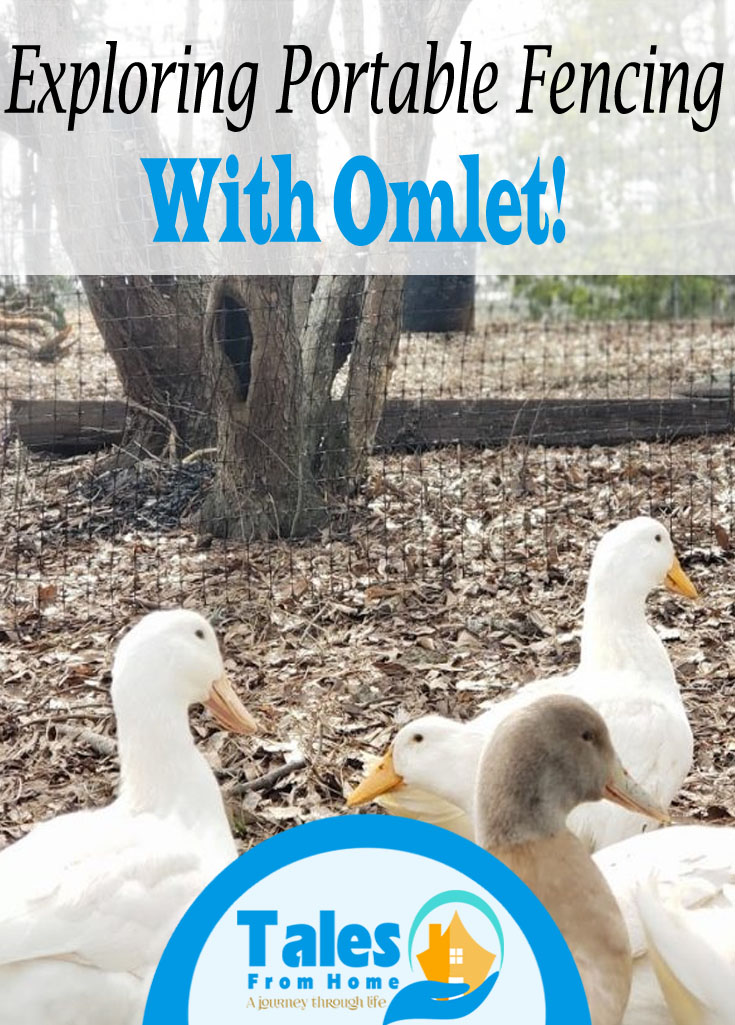 Exploring Portable Poultry Fencing With Omlet! - Tales From Home