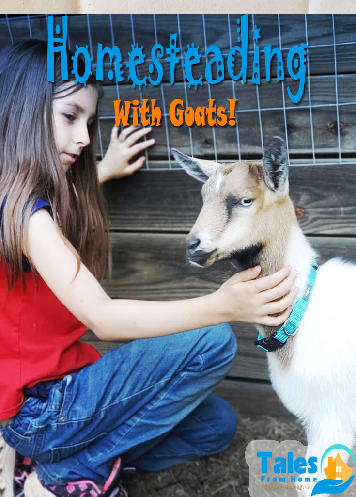 Homesteading With Goats The Pros And Cons - Tales From Home